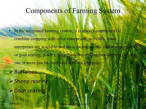 Integrated Farming System Pptx