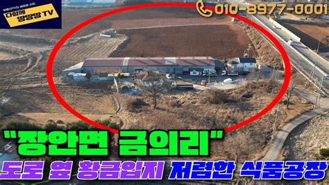 👍화성시 장안면 금의리 식품 공장 ️접근성이 우수한 4차선 옆 식품 공장 매물 🔥평당가격 저렴한 입지 우수 식품 공장 Youtube