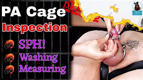 Femdom Chastity Cage Prince Albert Demo Tease Denial Sph Humiliation