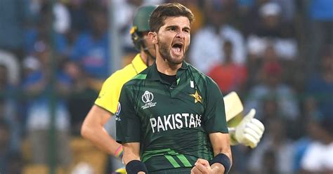 Shaheen Afridi Was Never Offered Vice Captaincy Role Pcb