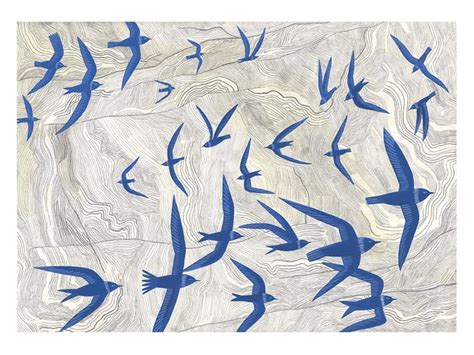 Murmuration By Laila Ekboir Kuş Resimleri Kuş Resim