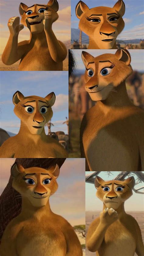 Madagascar 2 Zuba And Alex