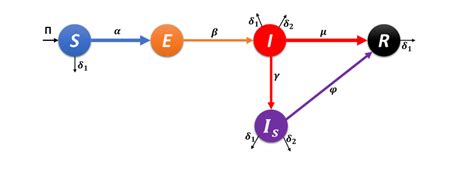 Diagram Of The Seii S R Model Download Scientific Diagram