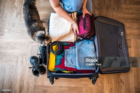 고양이는 여행 가방을 포장하는 데 도움이됩니다 여행 가방에 고양이입니다 거실에 있는 집에서 여행 가방에 옷을 포장하는 여자 위에서 본 모습 여행 개념입니다 휴가 준비 여행