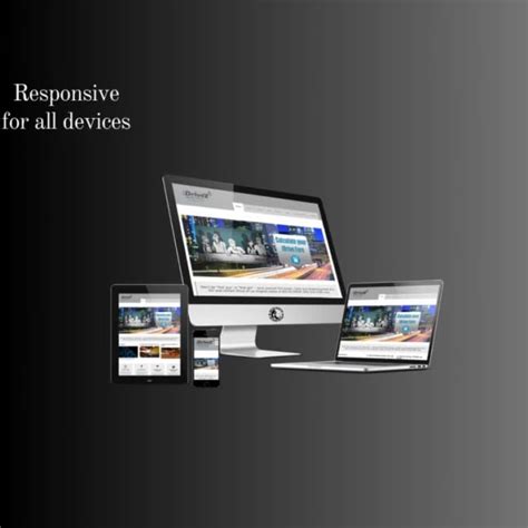 Build A Python Django E Commerce Site For Seamless Shopping By Rayfamous Fiverr