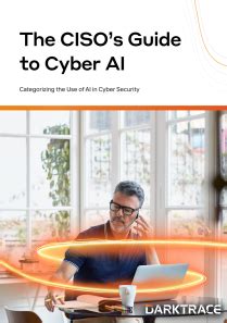 The CISOs Guide To Cyber AI