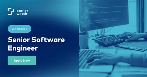 senior software engineer