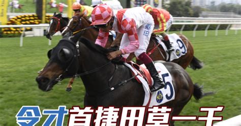 马场密探048令才首捷田草一千 星岛日报