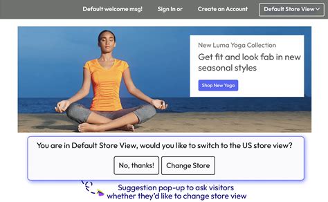 Magento 2 Store Switcher Language And Currency Switcher Mageplaza