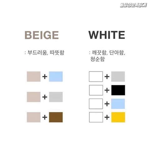 상하의 컬러 조합 팁 Tip 인스티즈 Instiz 인티포털 카테고리