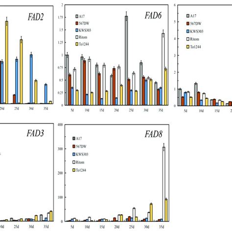 The Expression Analysis Of Fad2 Fad3 Fad6 Fad7 And Fad8 Download
