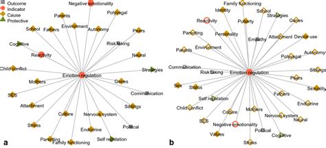 Phenomena Relevant To Adolescents Emotion Regulation According To
