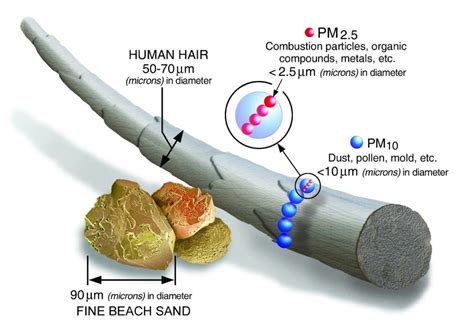 Understanding Airborne Particulate