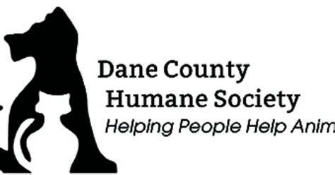 Dane County Humane Society Please Consider Adopting A Rescue Dog
