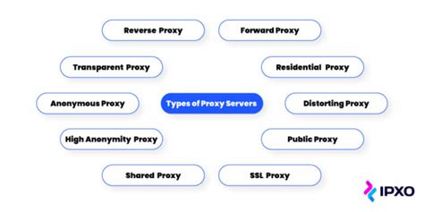 What Is A Proxy Server A Beginners Guide Ipxo