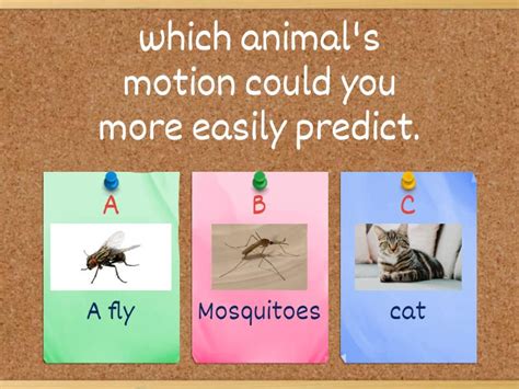 Patterns In Motion Quiz
