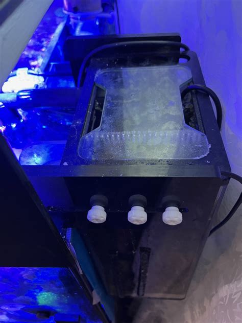 To Fuge Or Not To Fuge Hang On Refugiums Page 2 Reef2reef