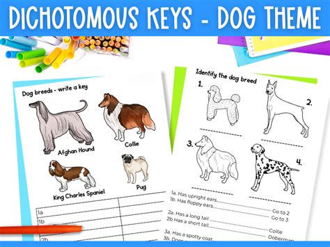 Dichotomous Key Activity With Couplets Dog Breed Theme Science