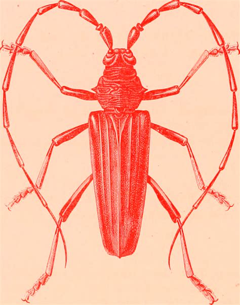 Imagemagick Re Color A Background Of A Scanned Image With Imagemagic Stack Overflow