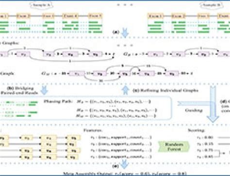 Isp Accurate Inference Of Isoforms From Multiple Sample Rna Seq Data Rna Seq Blog