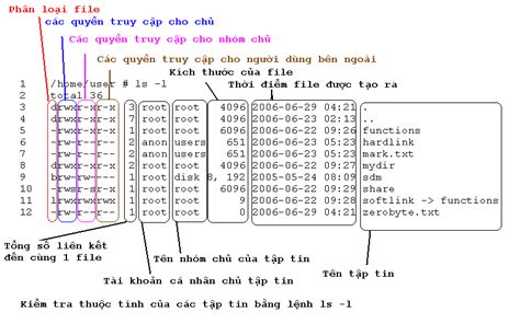 Các Lược Giảng Chuyên Sâu về Sử Dụng Văn Lệnh BASH trong Linux Bài A VLOS
