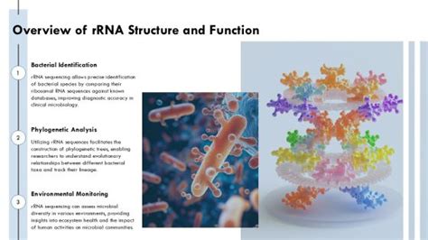 Rrna Sequencing For Bacterial Identification And Classification Ppt