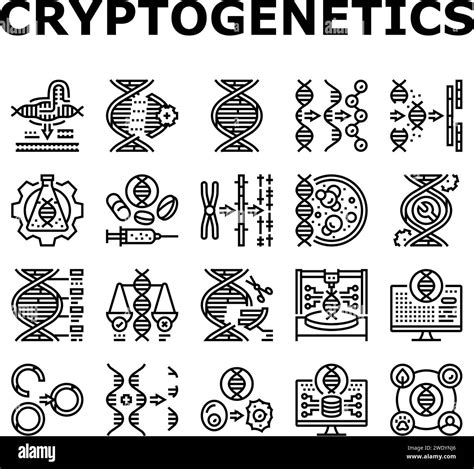 Cryptogenetics Dna Gene Helix Icons Set Vector Stock Vector Image And Art