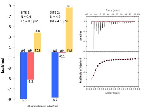 Questions With Answers In ITC DATA ANALYSIS Science Topic