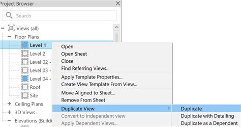Rename The New View To Something That Indicates Cad Will Be In That View For Example Level 1