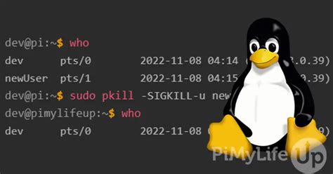 How To Logout A User On Linux Pishop Blog How To Logout A User On Linux Pishop Blog