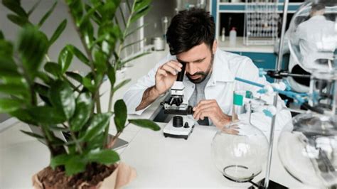 Scientists Identify Mutation Leading To A New Cat Breed