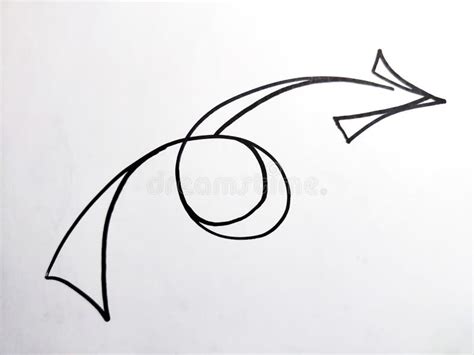 Elegant Rounded Curly Hand Drawn Black Marker Arrows The Concept Of Business Choosing