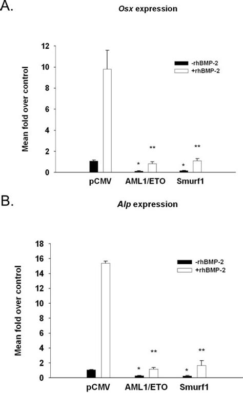 Runx2 Is Required For Osx Transcriptional Regulation C3h10t12 Cells