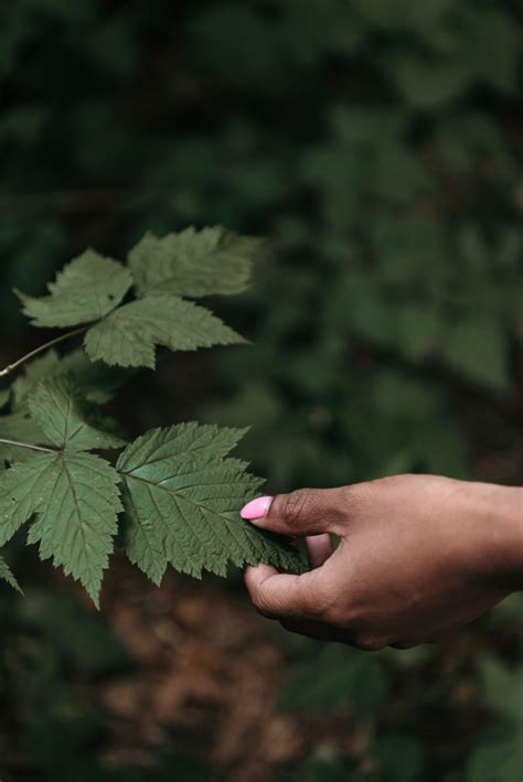 Individual Therapy — Untangling Our Relationships