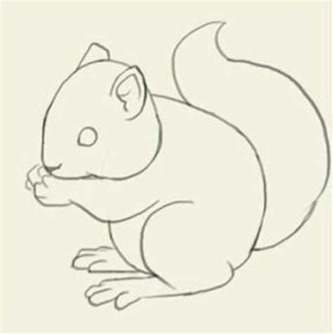 How To Draw A Squirrel Step By Step For Beginners Realistic Colour Drawings Squirrel