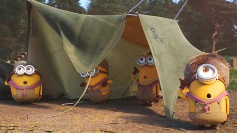 Minion Scouts 2019 Mubi