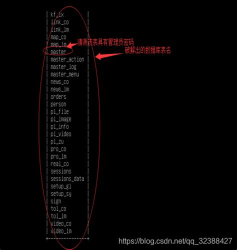 利用工具的sql注入实战傀儡sql Csdn博客