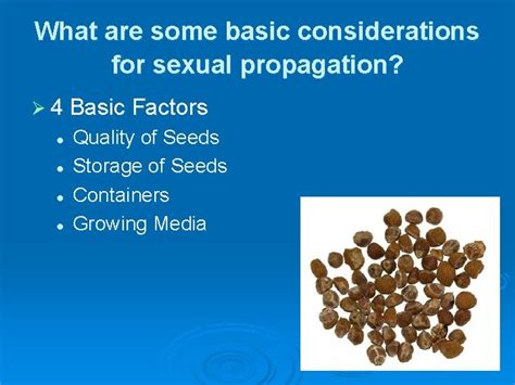 Plant Propagation Sexual Propagation What Is Sexual Propagation