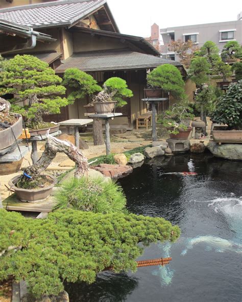 Bonsai Garden Design Bonsai Empire