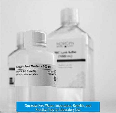 Nuclease Free Water Importance Benefits And Practical Tips For
