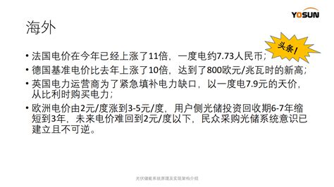 光伏储能系统原理及实现架构介绍——leo Huang 报告 组件 市场