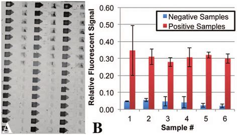 A A Fluorescent Scan Of An Array Of Mock Seroconversion Assays