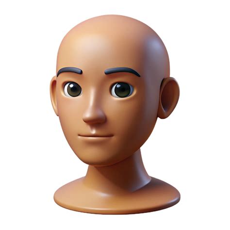 Elegant Unparalleled Human Head Facing Forward No Background With