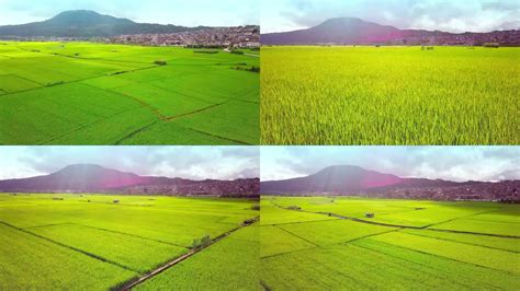 腾冲和顺古镇稻田航拍 视频素材下载 编号 9854395 光厂 Vj师网