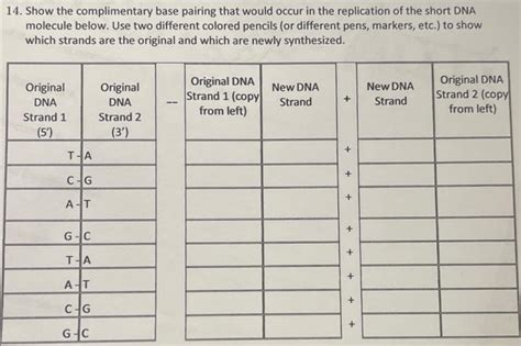 Solved 14 Show The Complimentary Base Pairing That Would