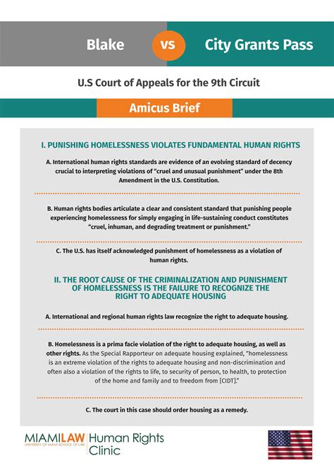 Litigation Sprint Posters Decriminalise Poverty And Status