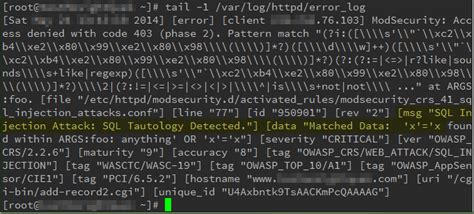 why mod security is important and how to install it
