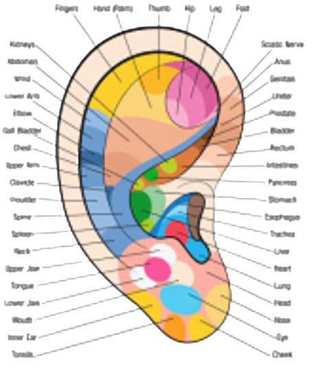 Chart Ear