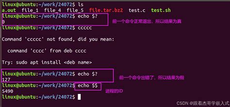 Linuxc高级day3 Csdn博客