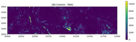 Technology Focus Xenium — Spatialdata